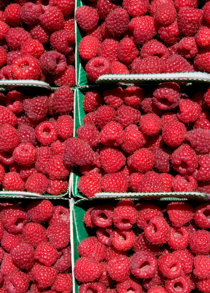 Creamy Raspberry Gelato with Rose Water - Food Nouveau