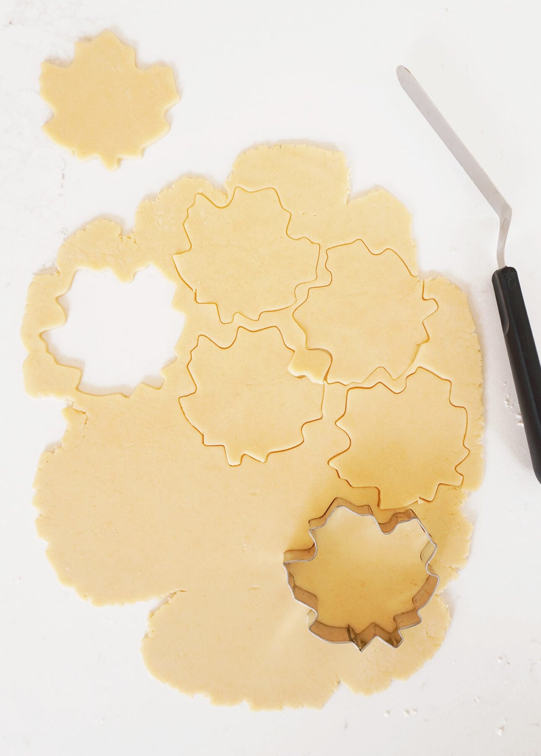 Homemade Maple Leaf Cookies - Food Nouveau